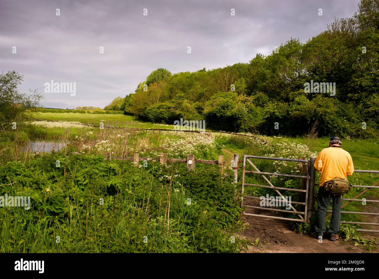 Wardens way hi-res stock photography and images - Alamy