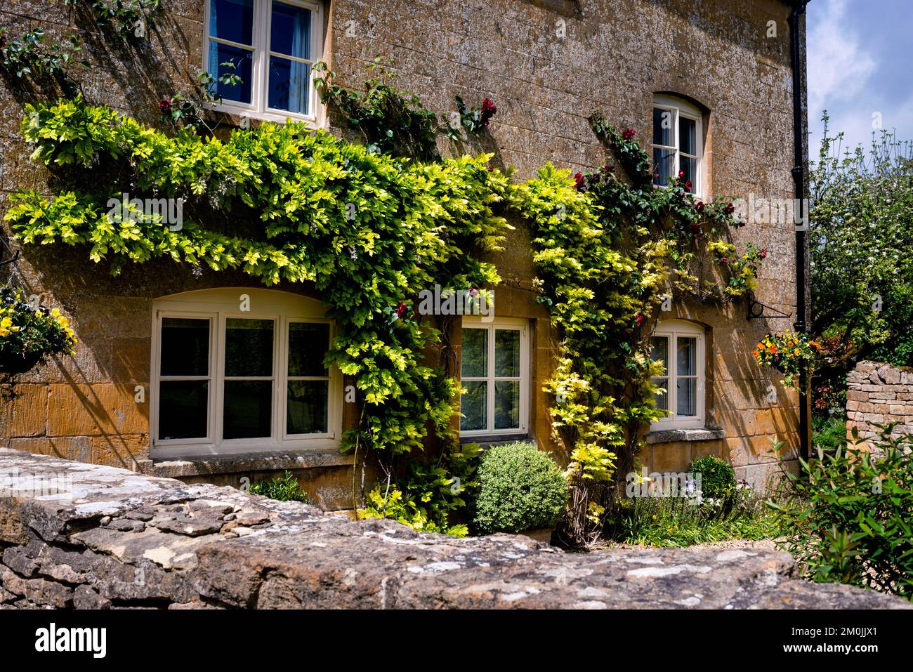 Yellow and white guiting limestone hi-res stock photography and images ...