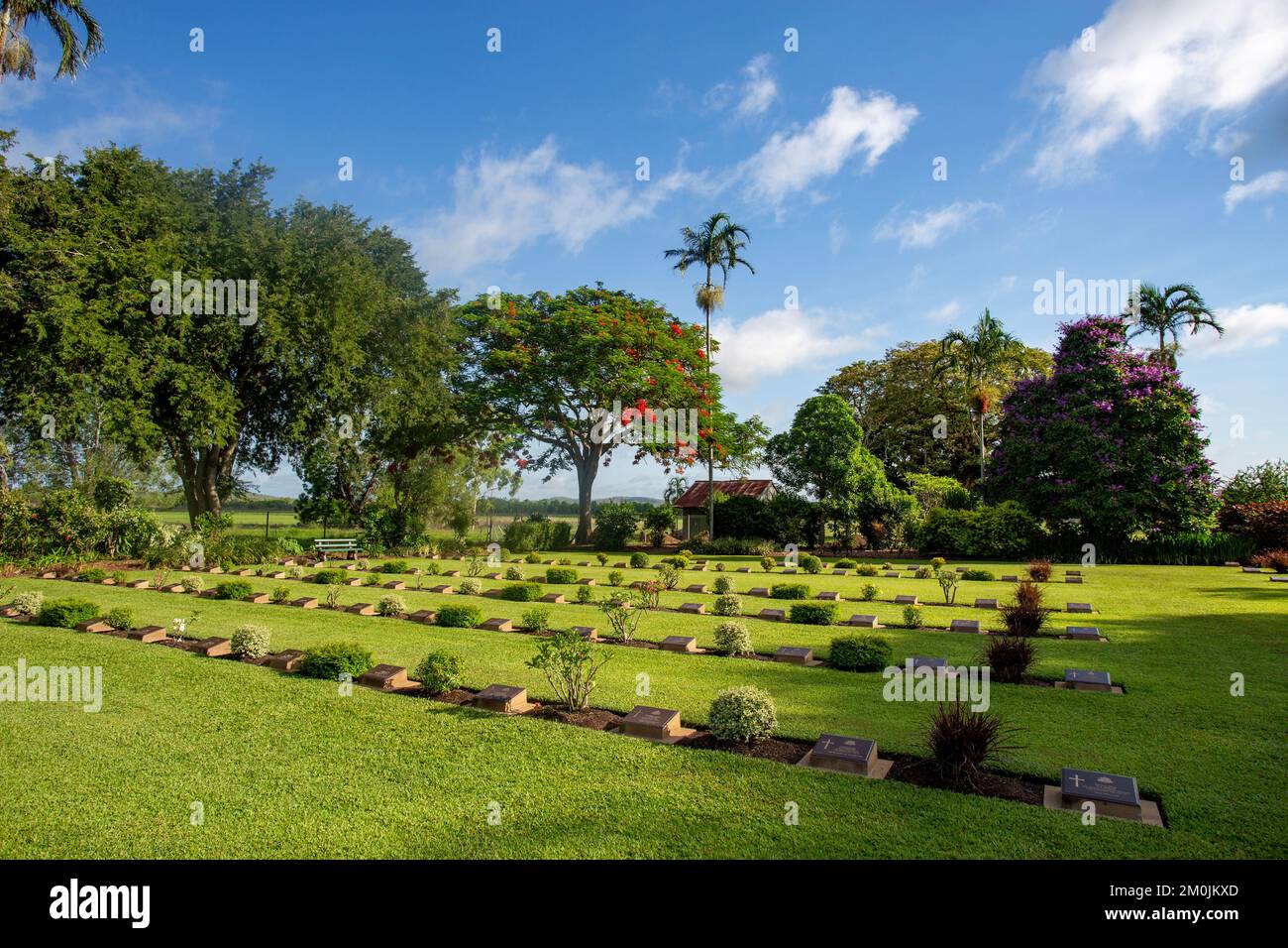 View of the graves laid out in formal straight lines with bronze ...