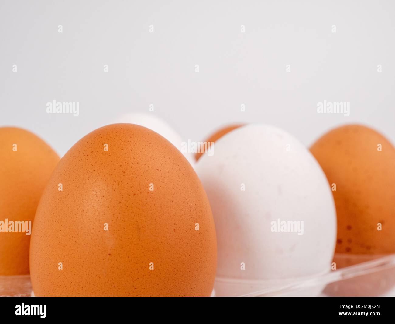 Chicken eggs on a white background. White and brown egg on a white ...
