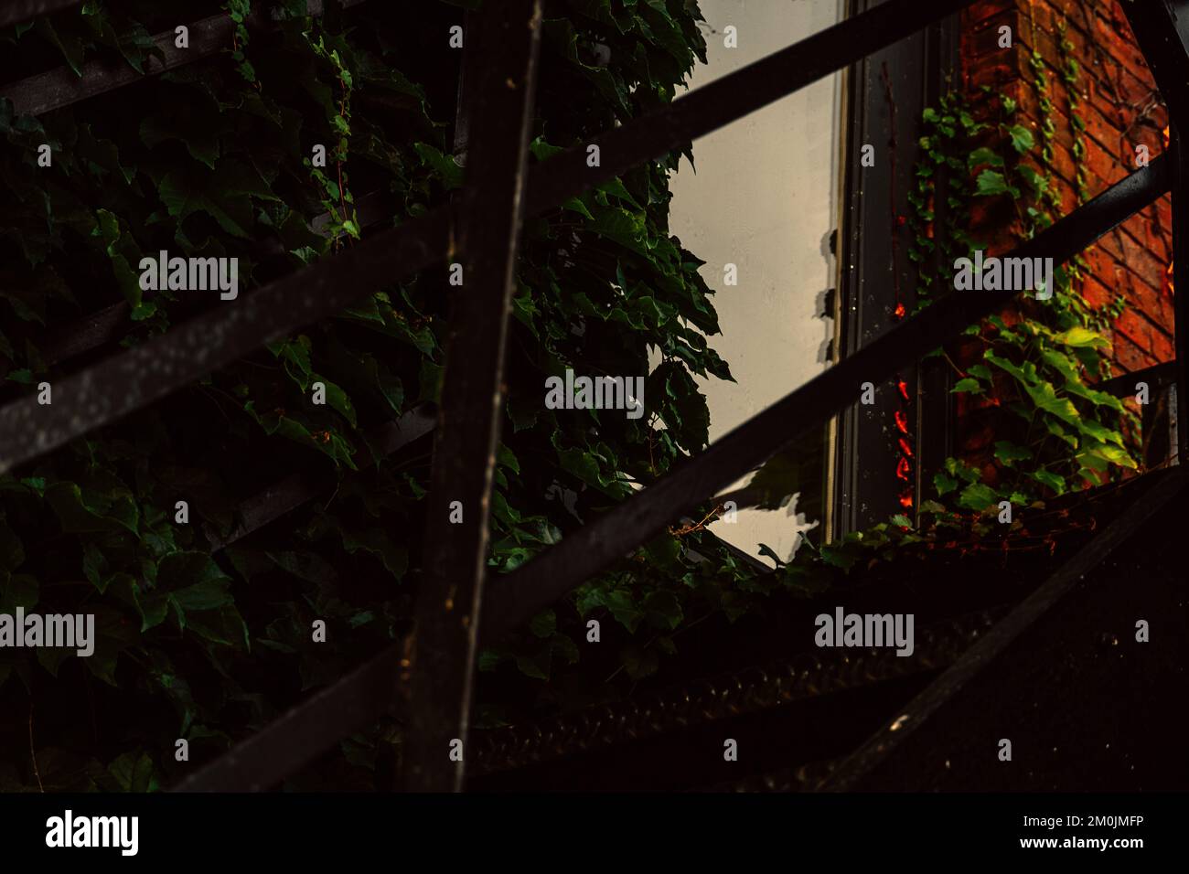 Fire rescue stairwell leading up to glass door Stock Photo - Alamy