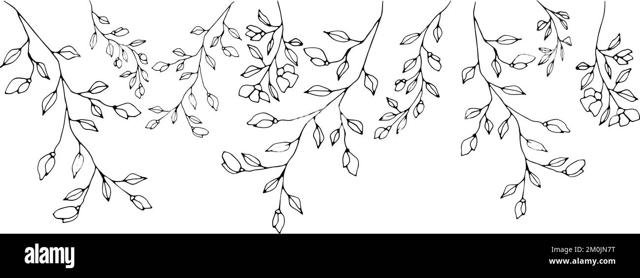 Border of graphic vector plant branches with flowers. buds and berries ...