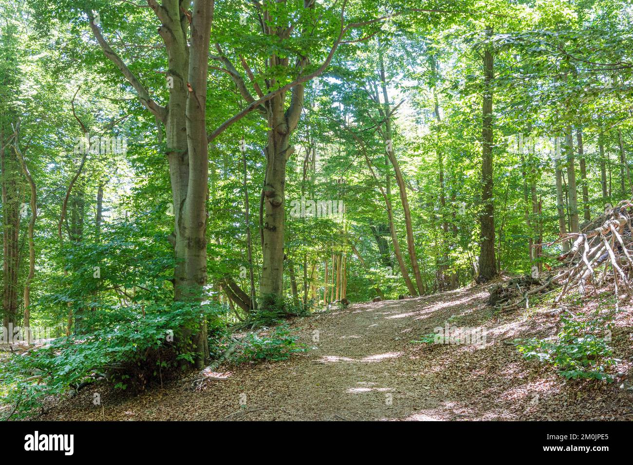 Adelasia park hi-res stock photography and images - Alamy