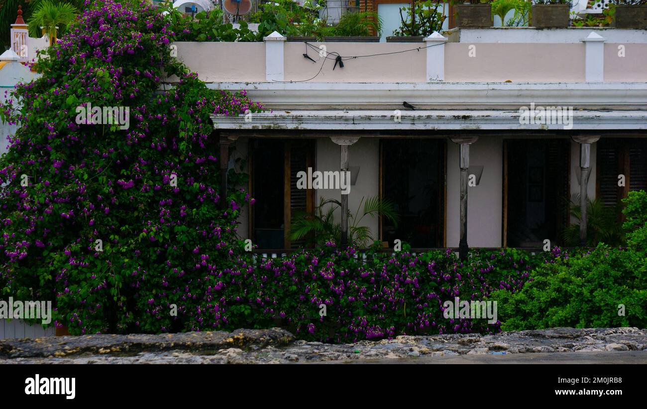 Record rain in Cartagena, Colombia Stock Photo - Alamy