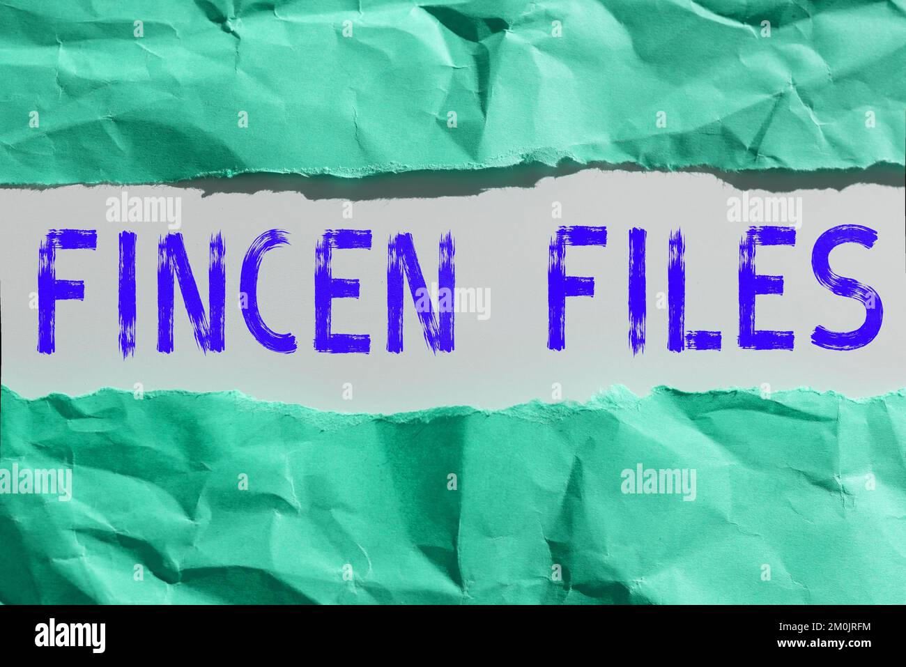 Text showing inspiration Fincen Files. Concept meaning Transactions in ...