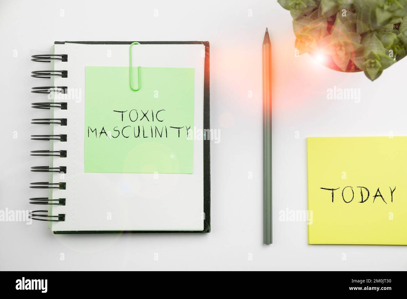 Conceptual display Toxic Masculinity. Internet Concept describes narrow ...