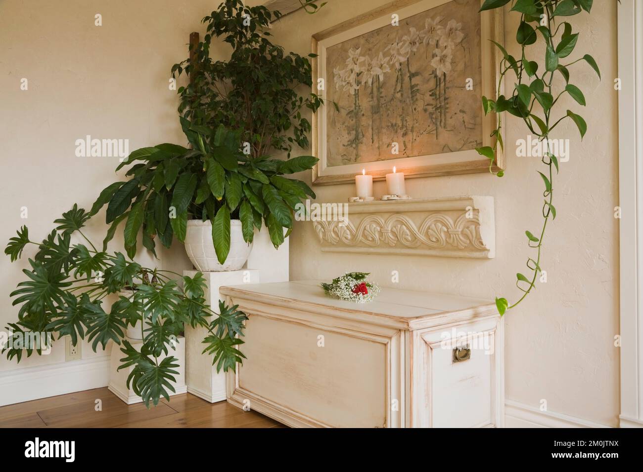 Bleached wooden storage chest and green houseplants in master bedroom ...