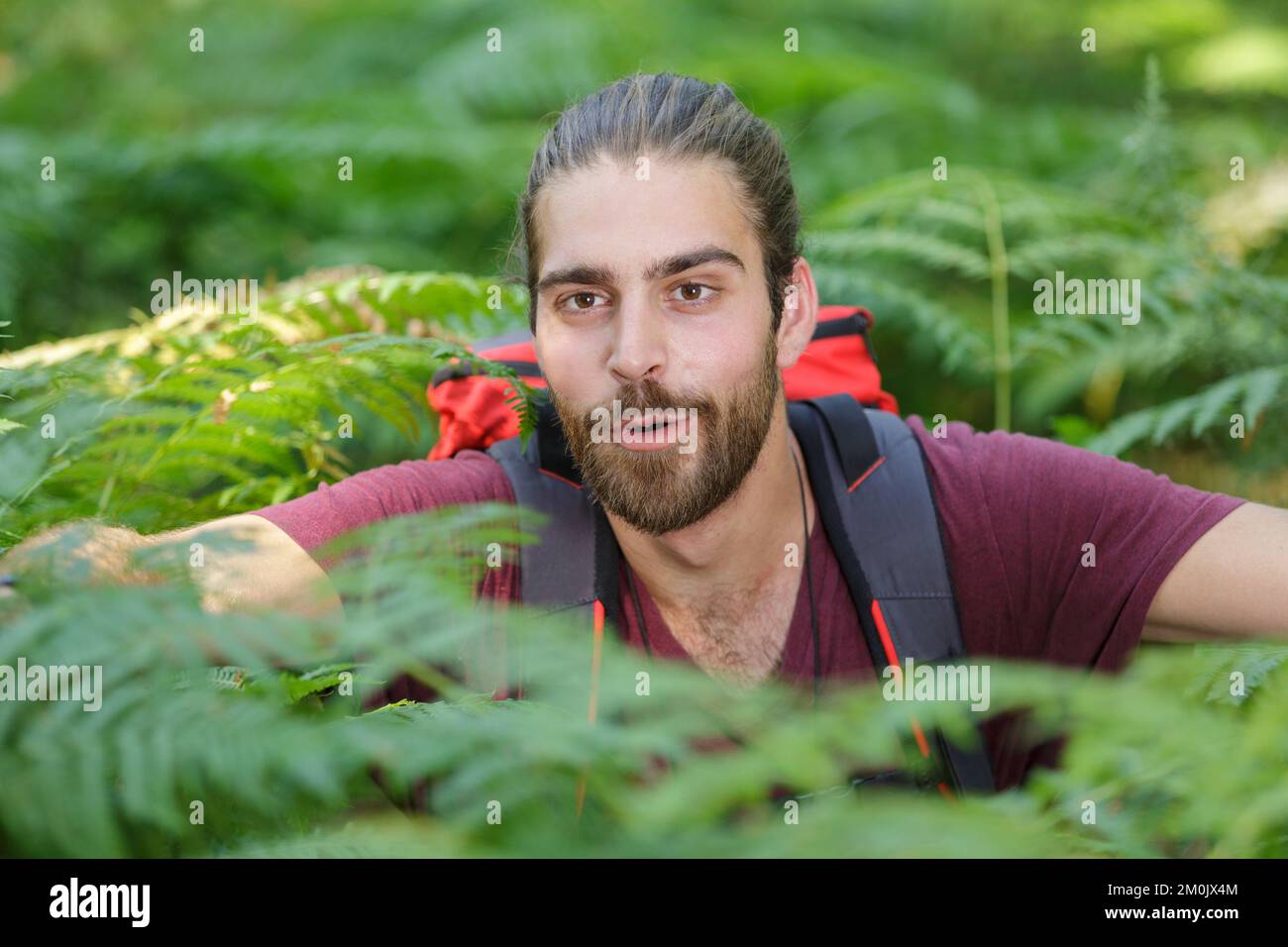 Man hiding in bushes hi-res stock photography and images - Alamy