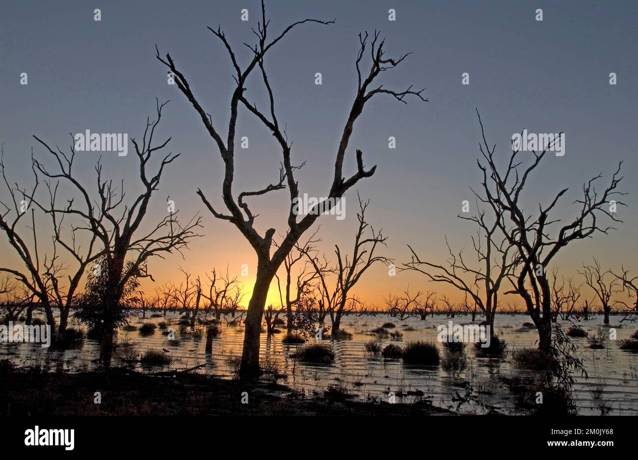 Menindee Lakes ,New South Wales ,Australia at sunset Stock Photo - Alamy
