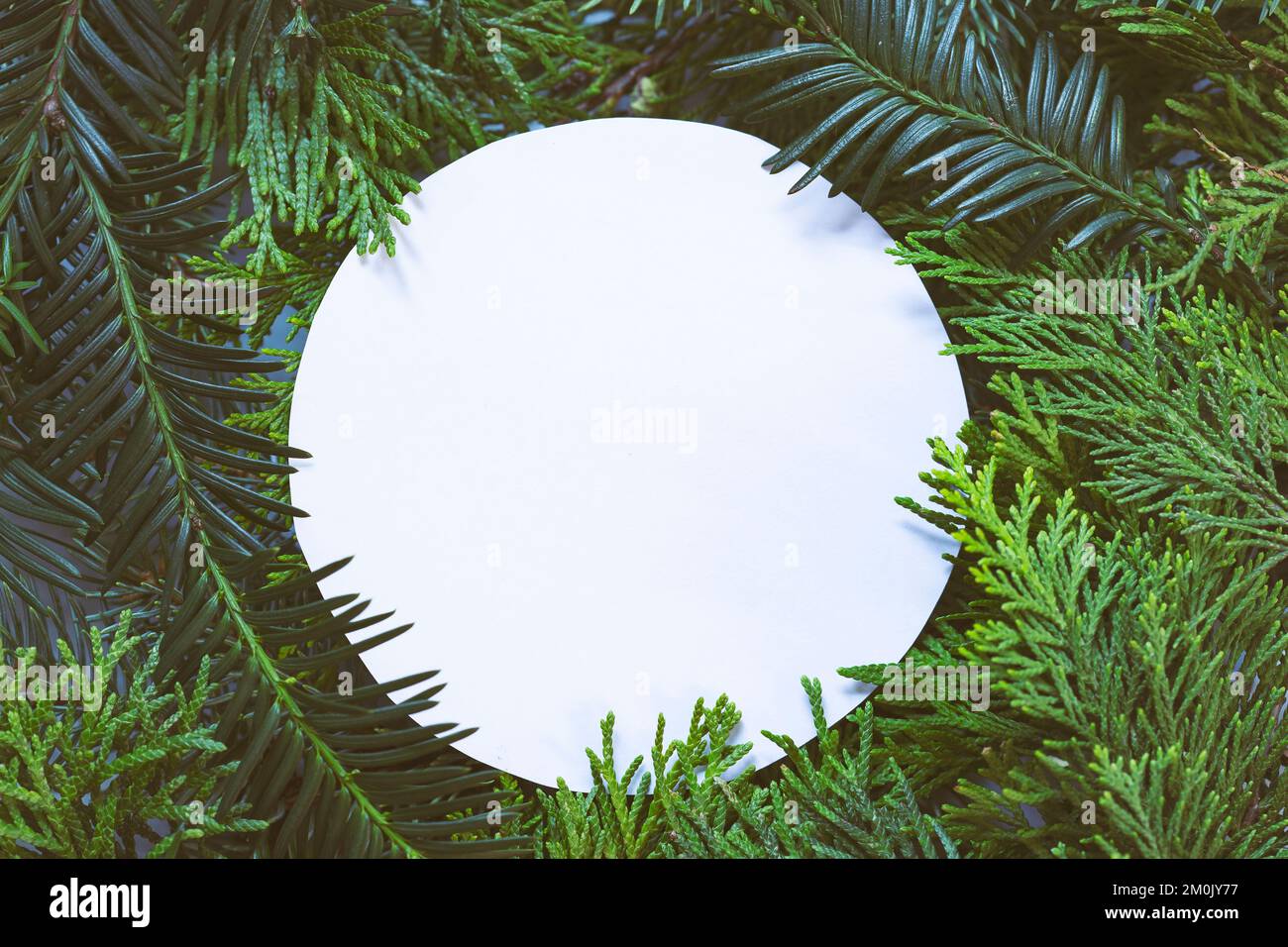 Blank greeting card hi-res stock photography and images - Alamy