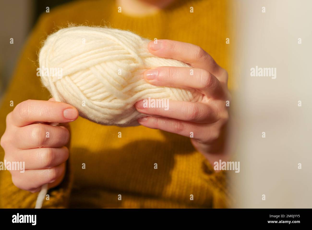 Knitting hobby.Skeins of yarn beige colour in hands in a in a mustard ...