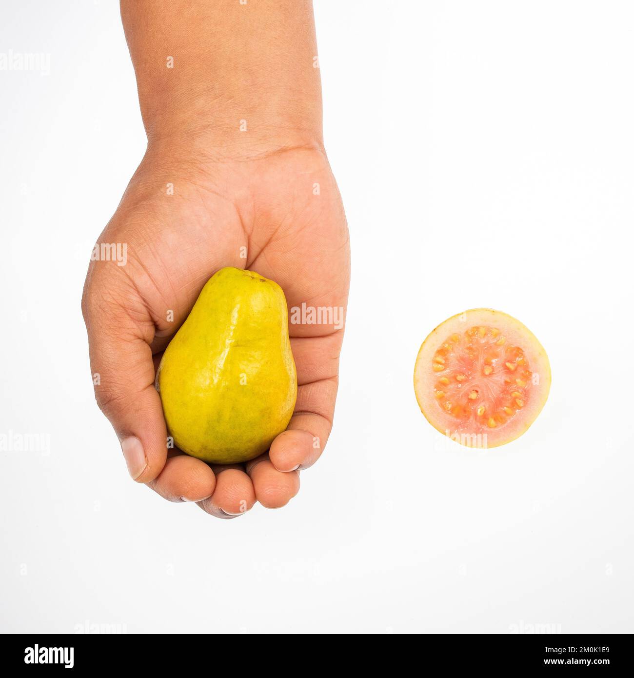 Tropical and exotic guava in farmer hands - Psidium guajava Stock Photo ...