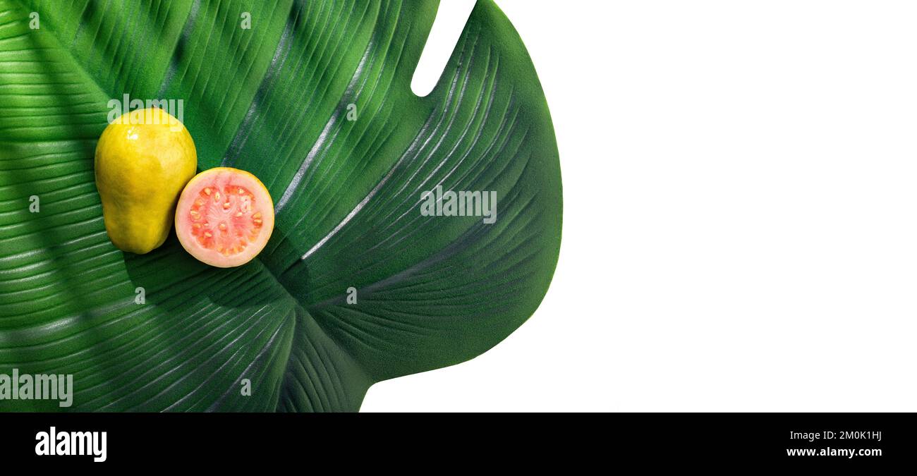 Colombian tropical and exotic guava - Psidium guajava Stock Photo - Alamy