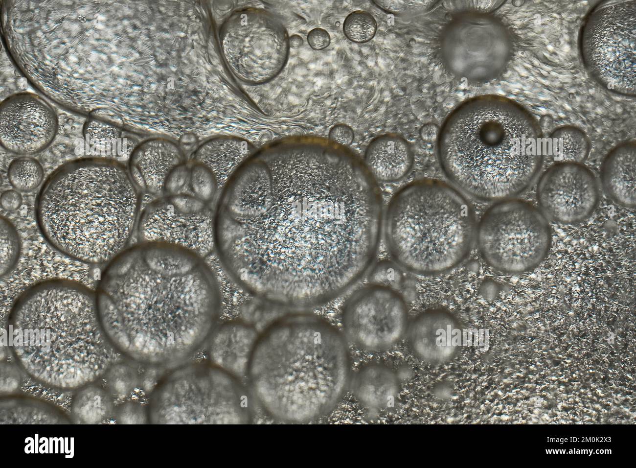 Oil Bubbles that look like cells in the body Stock Photo - Alamy