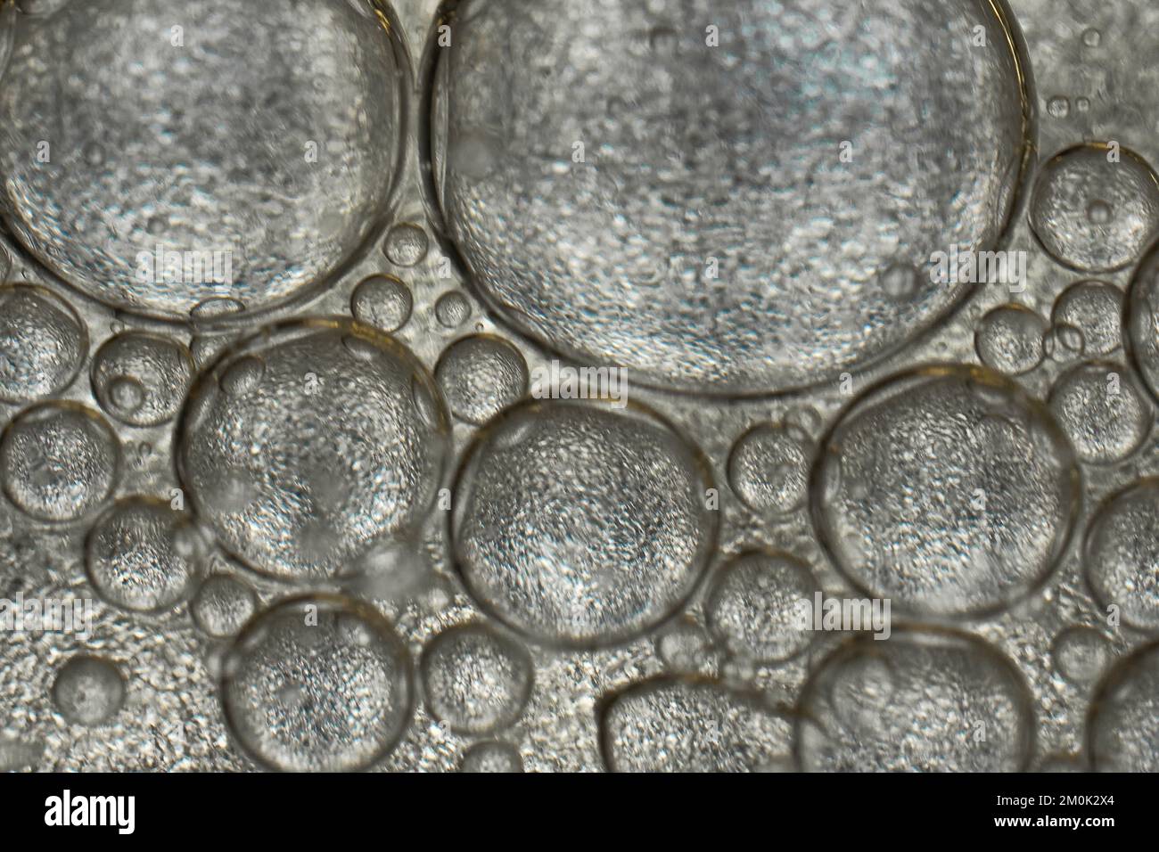 Oil Bubbles that look like cells in the body Stock Photo - Alamy