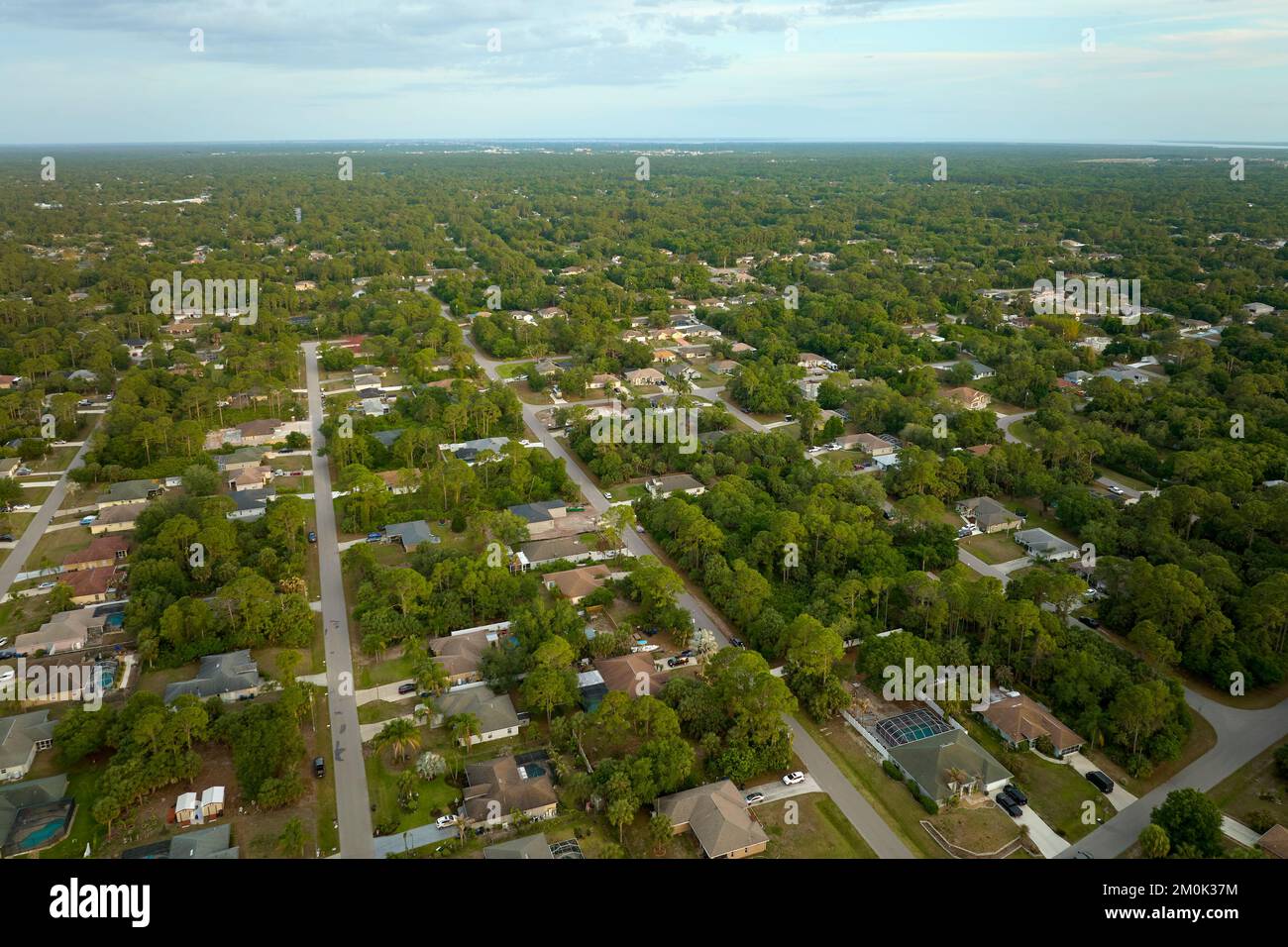 Aerial landscape view of suburban private houses between green palm ...