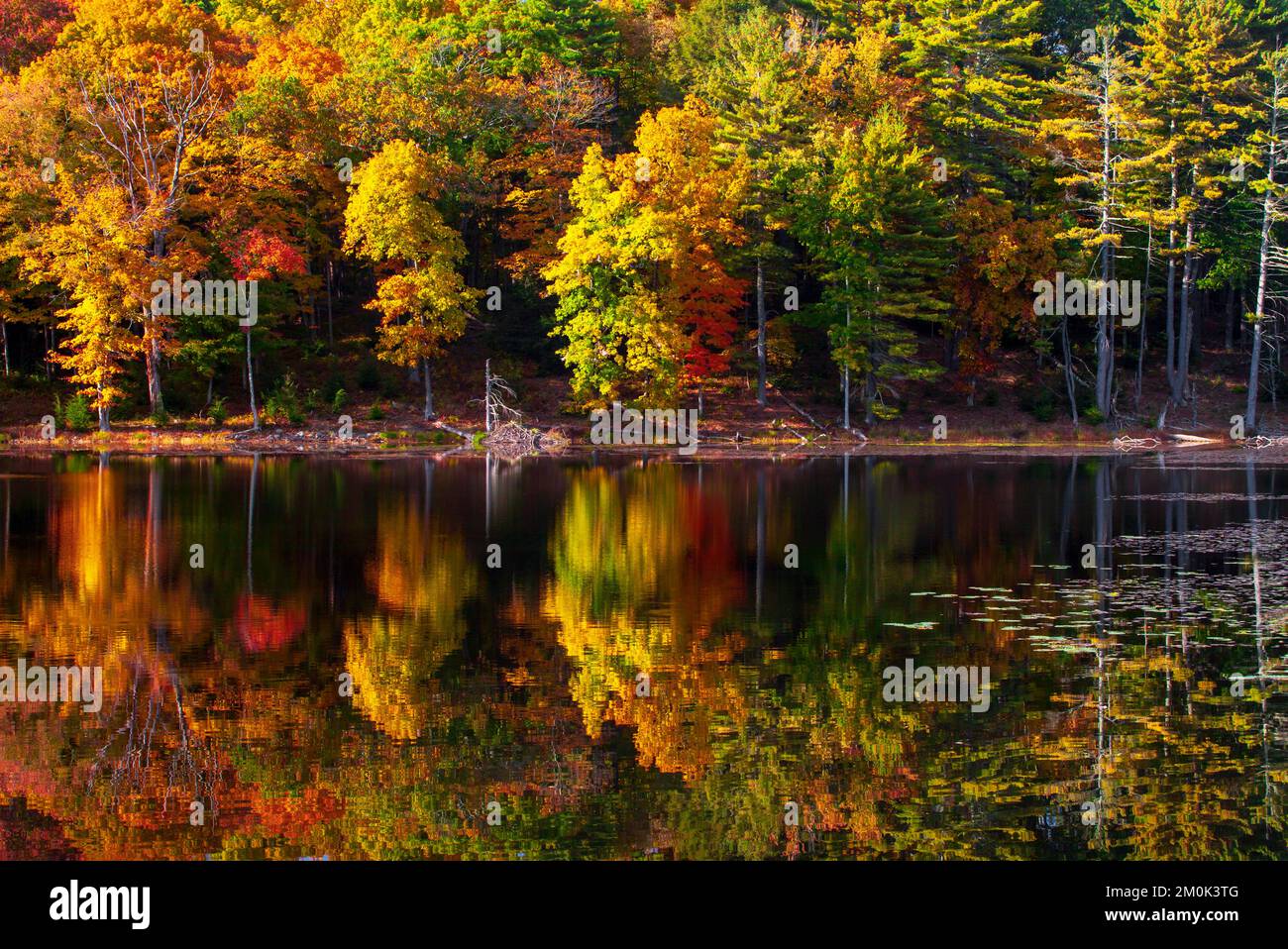 Egypt Mills Pond in Delsaware WAter Gap Nationsal Recreation Area ...