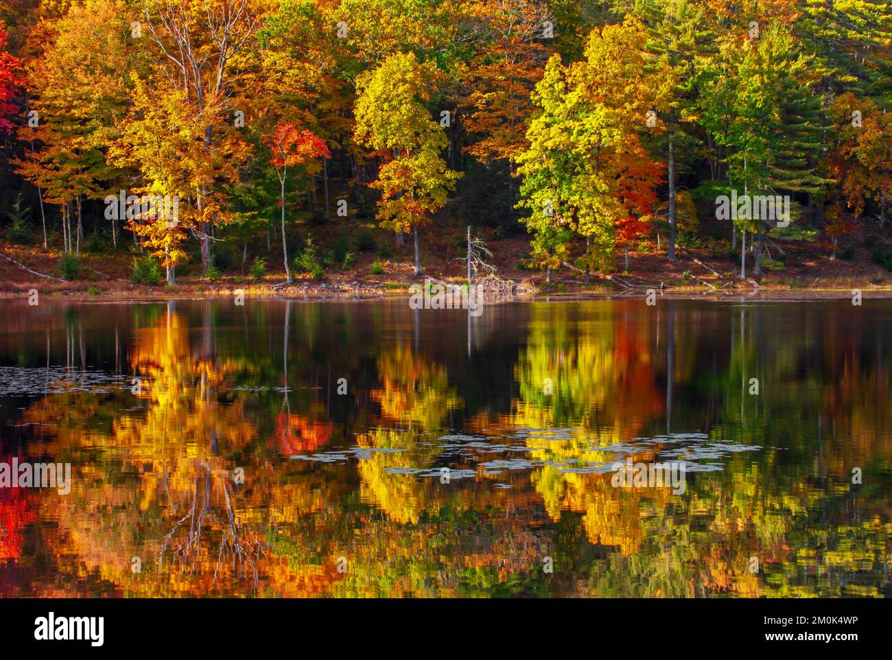 Egypt Mills Pond in Delsaware WAter Gap Nationsal Recreation Area ...