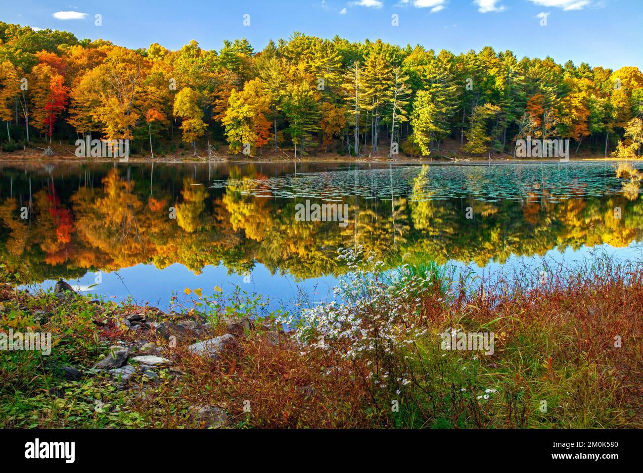 Egypt Mills Pond in Delsaware WAter Gap Nationsal Recreation Area ...