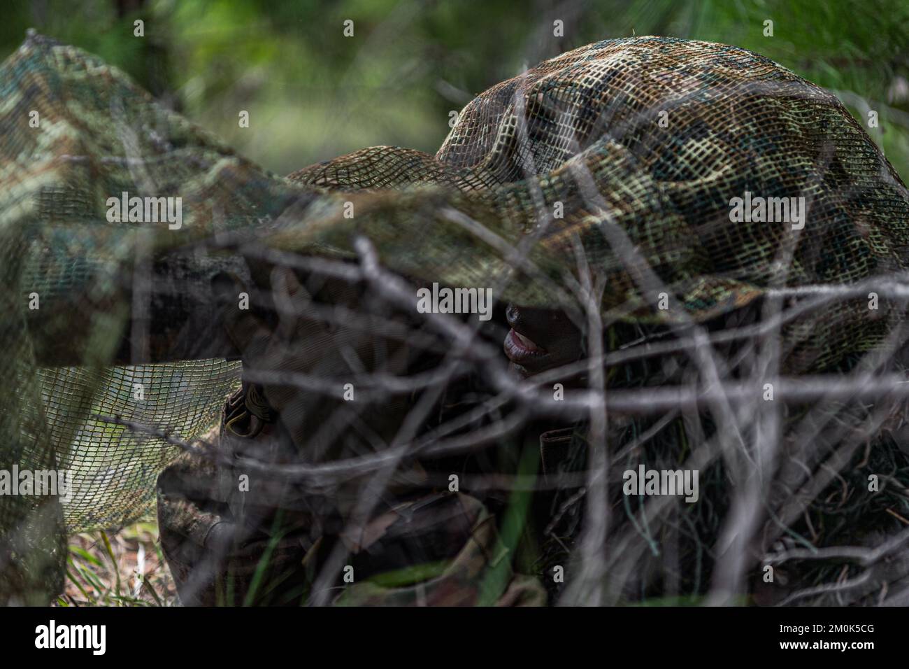 A U.S. Tactical Air Control Party Airman from the 15th Air Support ...