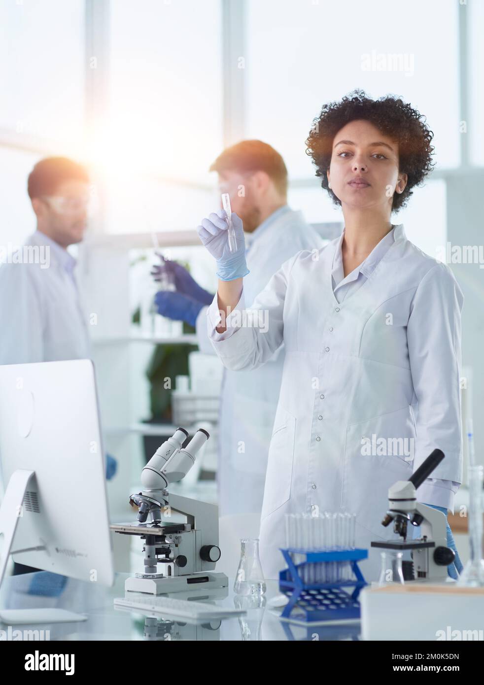 Smiling scientists looking at camera arms crossed in laboratory Stock ...