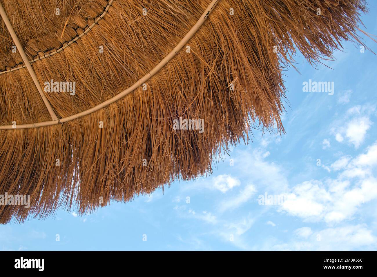 Close up detail of yellow straw roof against blue sky Stock Photo - Alamy