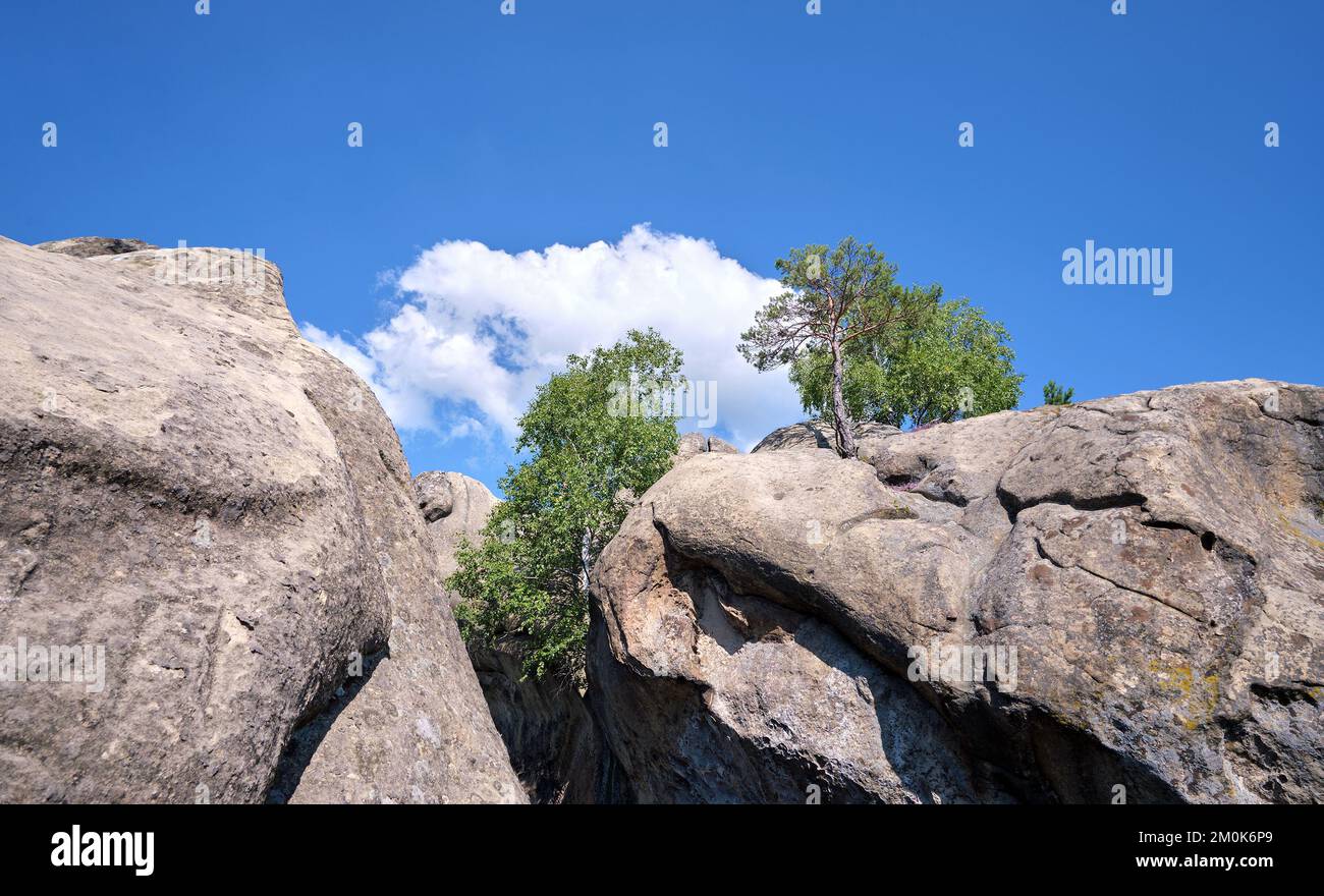 Huge rocky boulder formations high in mountains with growing trees on ...