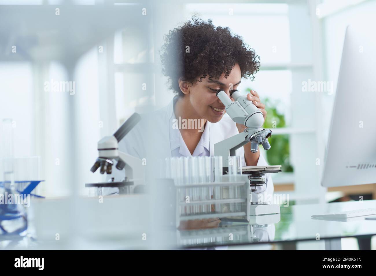 Female Scientist Working in The Lab Stock Photo - Alamy