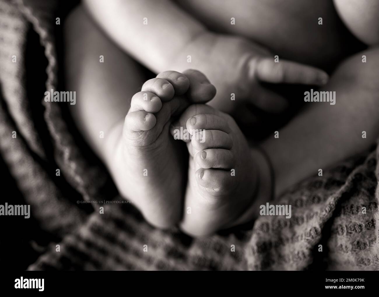 Baby Toes in B&W Stock Photo - Alamy