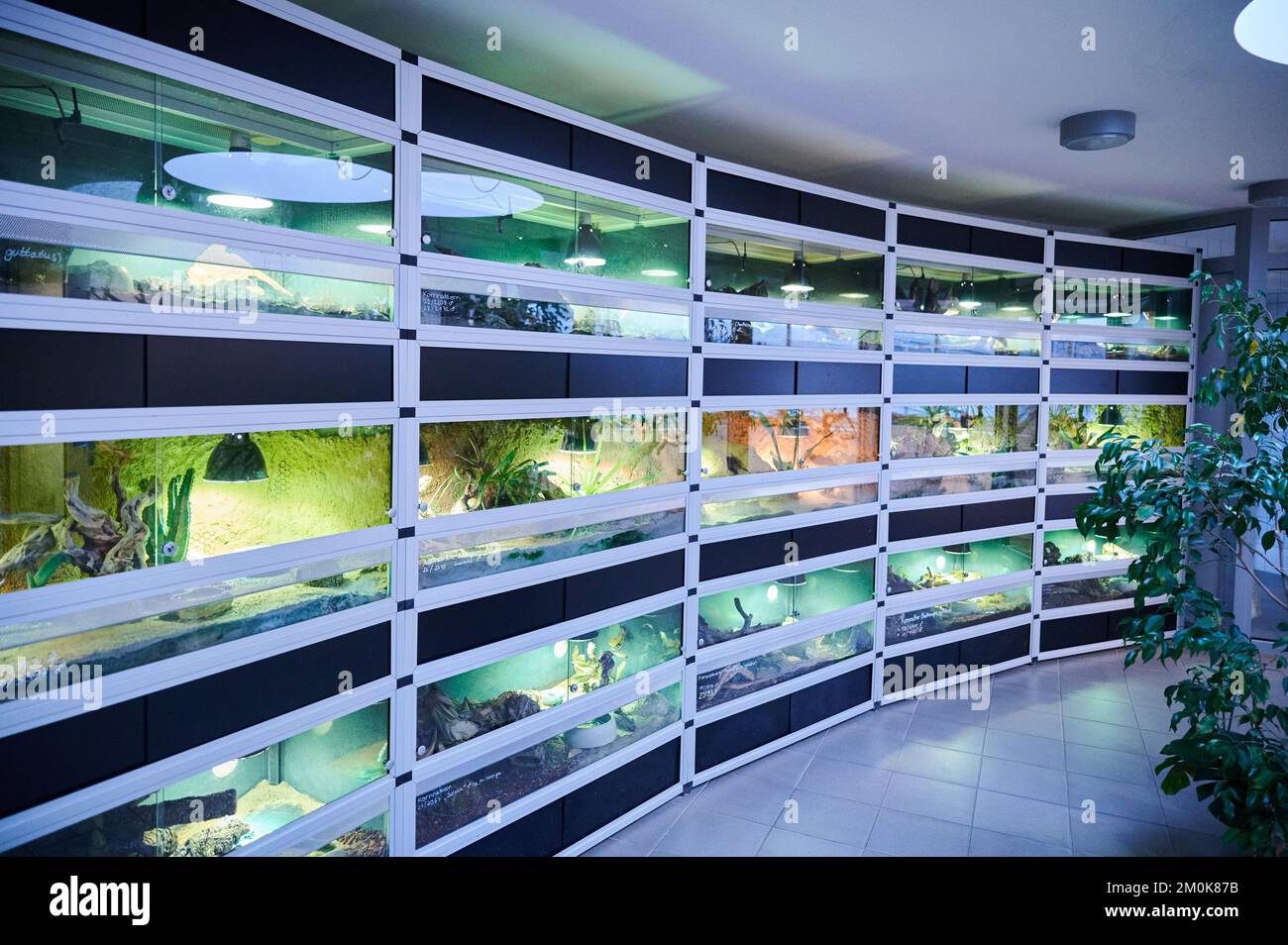 Berlin, Germany. 30th Nov, 2022. The top two rows of terrariums at the ...