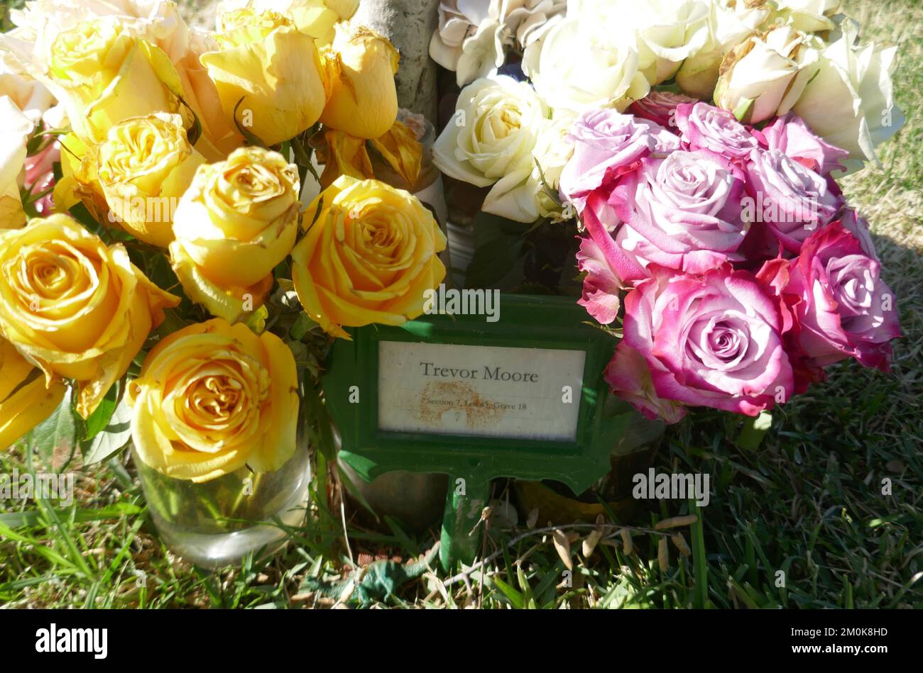 Los Angeles, California, USA 3rd December 2022 Actor/comedian Trevor ...