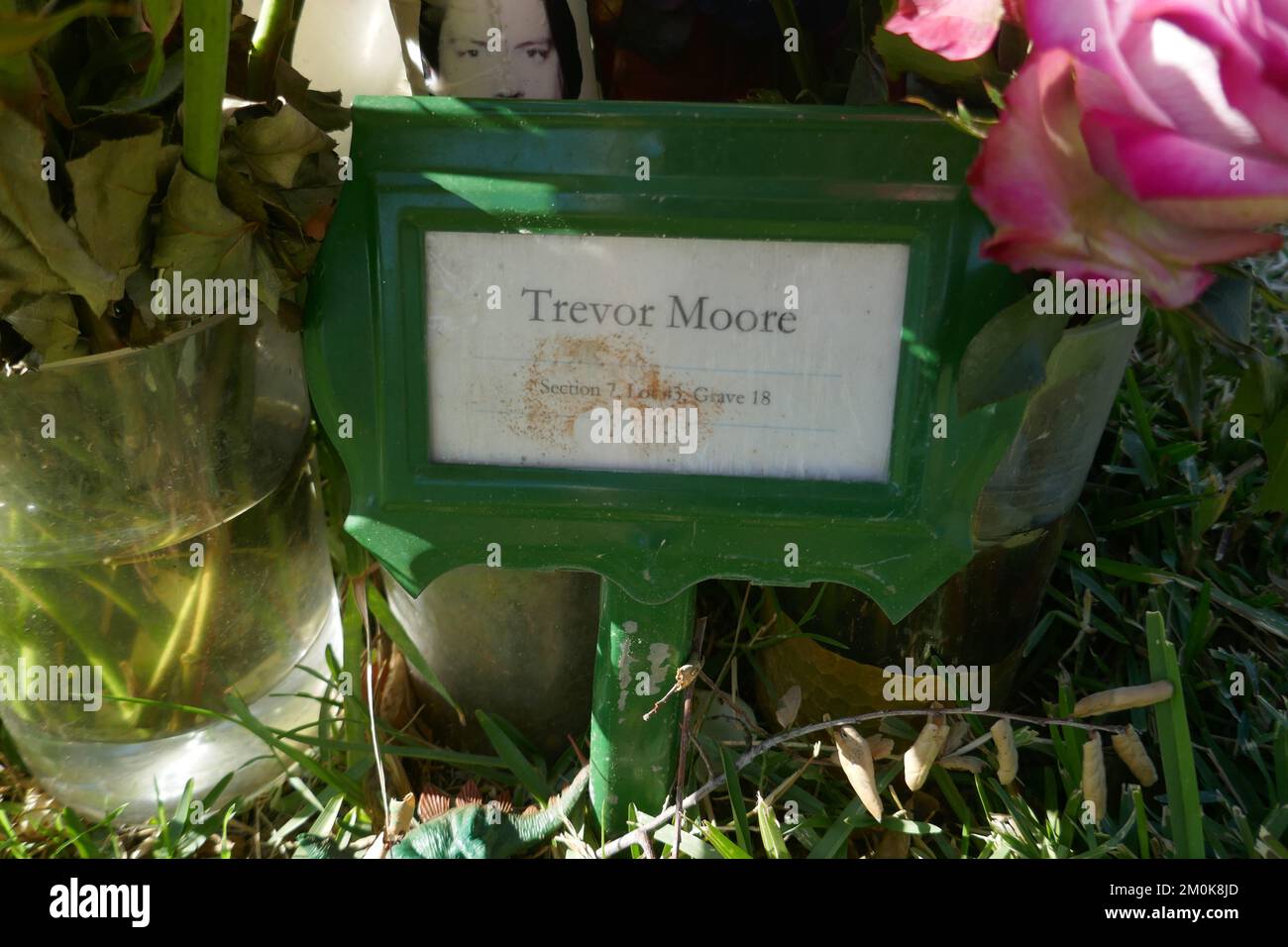 Los Angeles, California, USA 3rd December 2022 Actor/comedian Trevor Moore's Grave at Hollywood ...