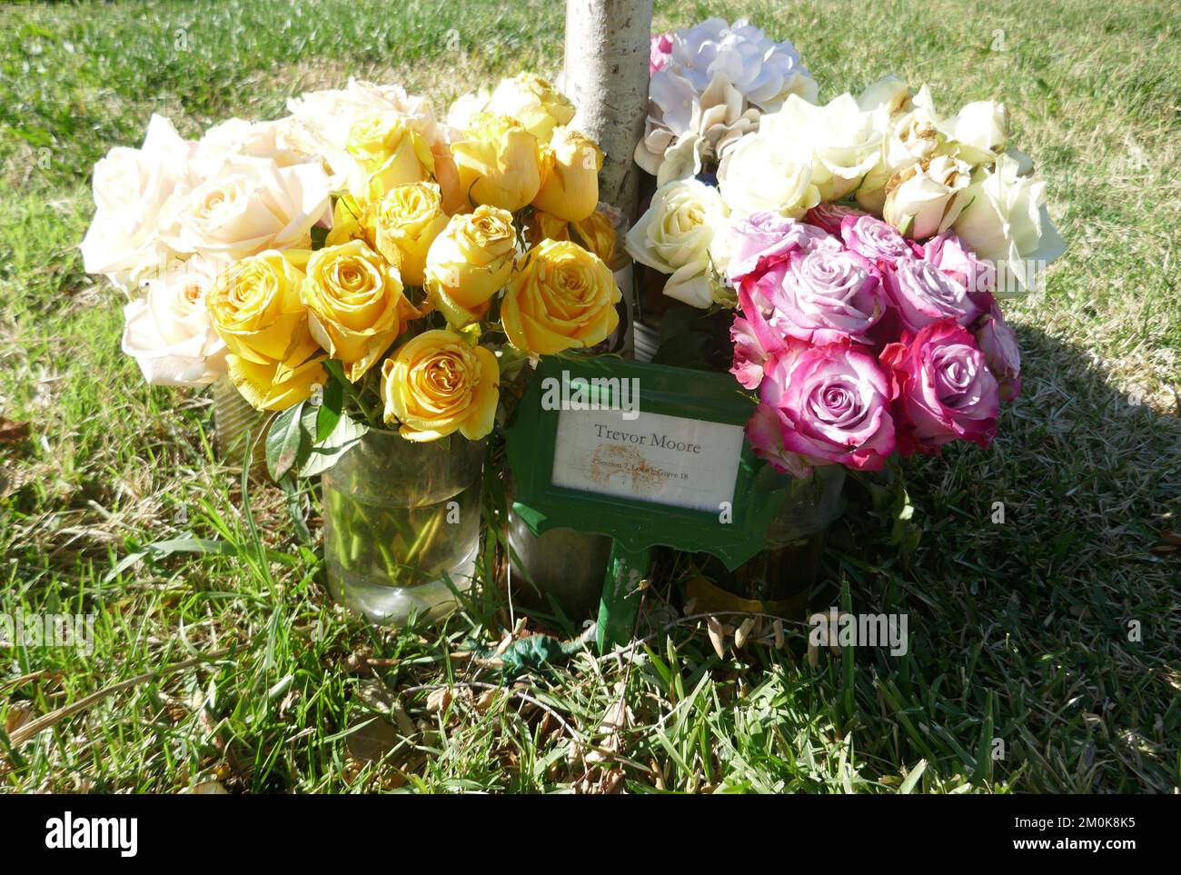 Los Angeles, California, USA 3rd December 2022 Actor/comedian Trevor ...