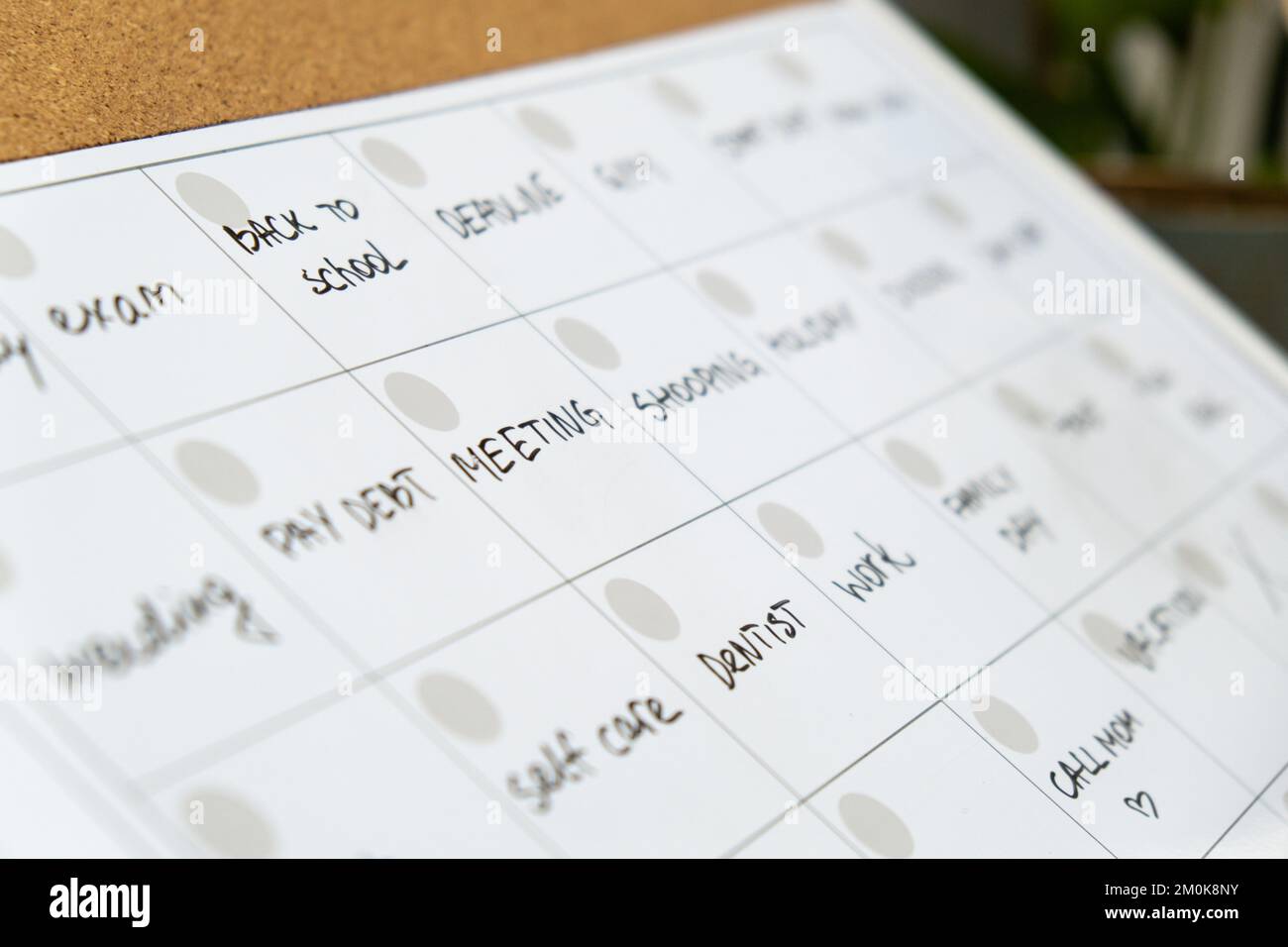 Monthly PLANNER filled with appointments and plans for next month. Busy ...