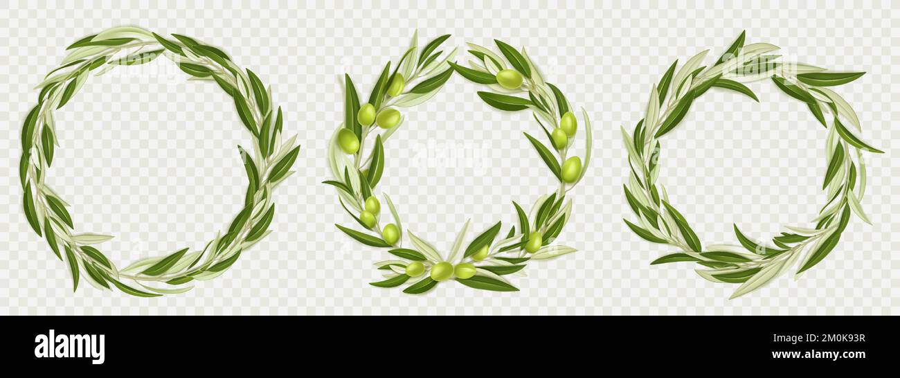 Wreaths of olive tree branches with green fruits and leaves isolated on ...