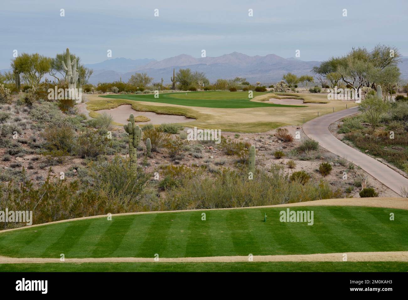 A view of a desert golf hole on a golf course in Phoenix, Arizona Stock ...