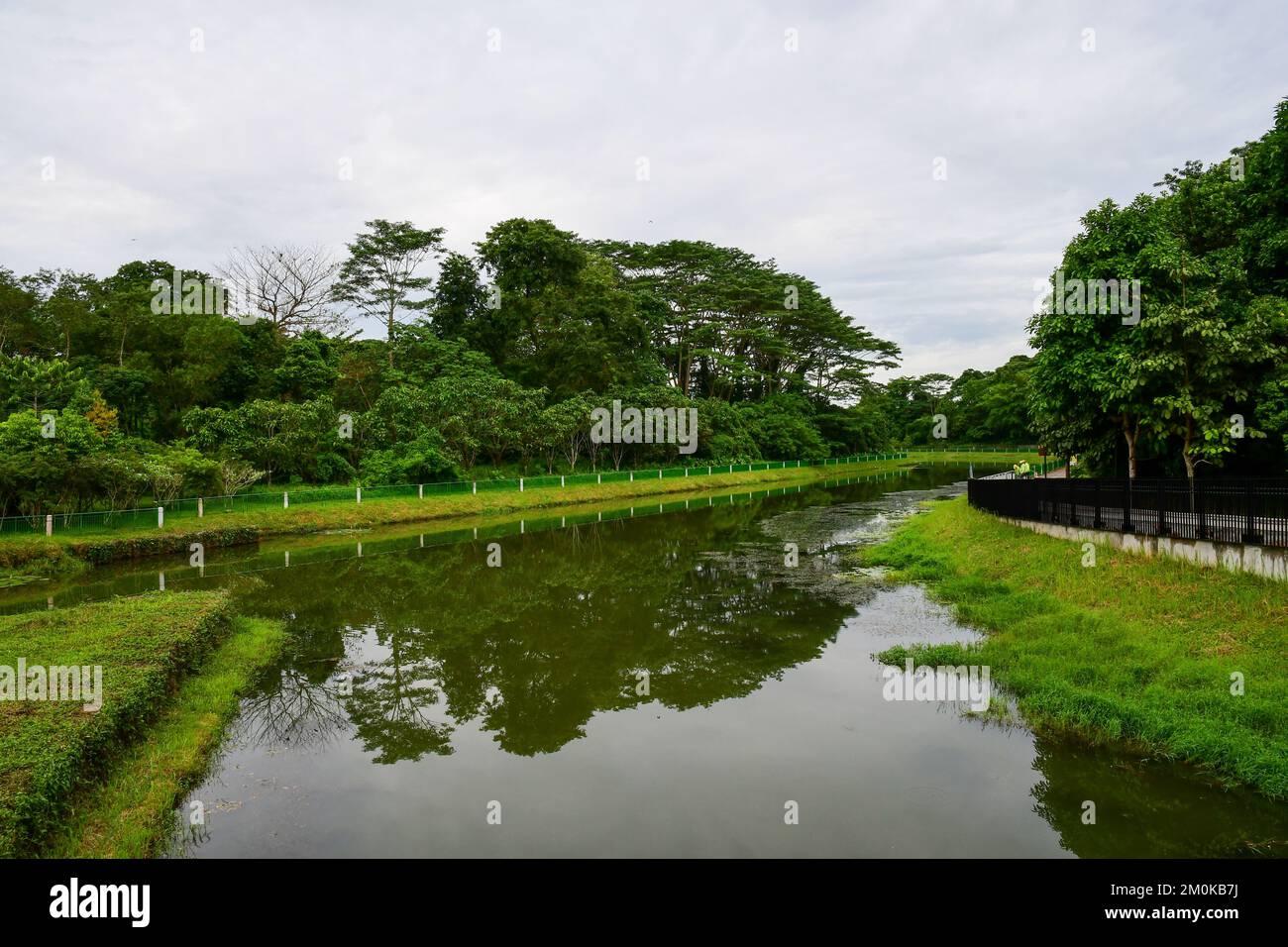 Parks in Singapore - Springleaf Nature Park Stock Photo - Alamy