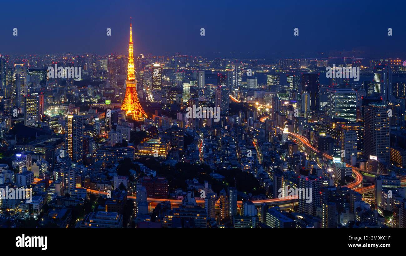 Tokyo city at night, Japan (Top view Stock Photo - Alamy