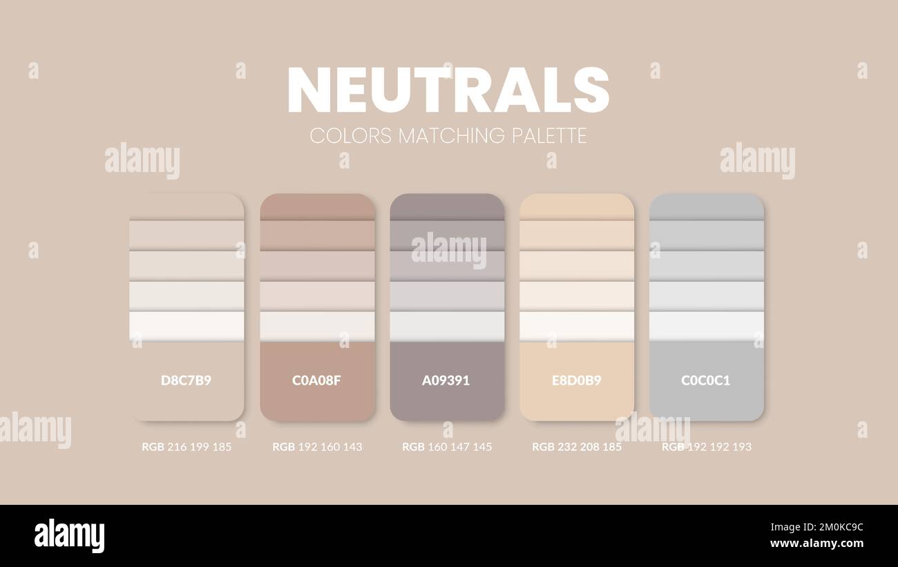 Color palette in a Neutrals colour theme collections. Color scheme or ...