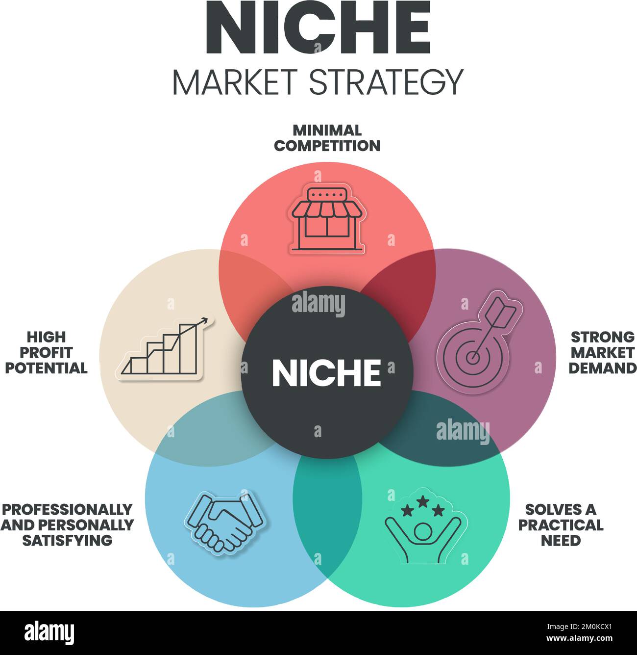 Niche Market Strategy infographic presentation template with icons such ...