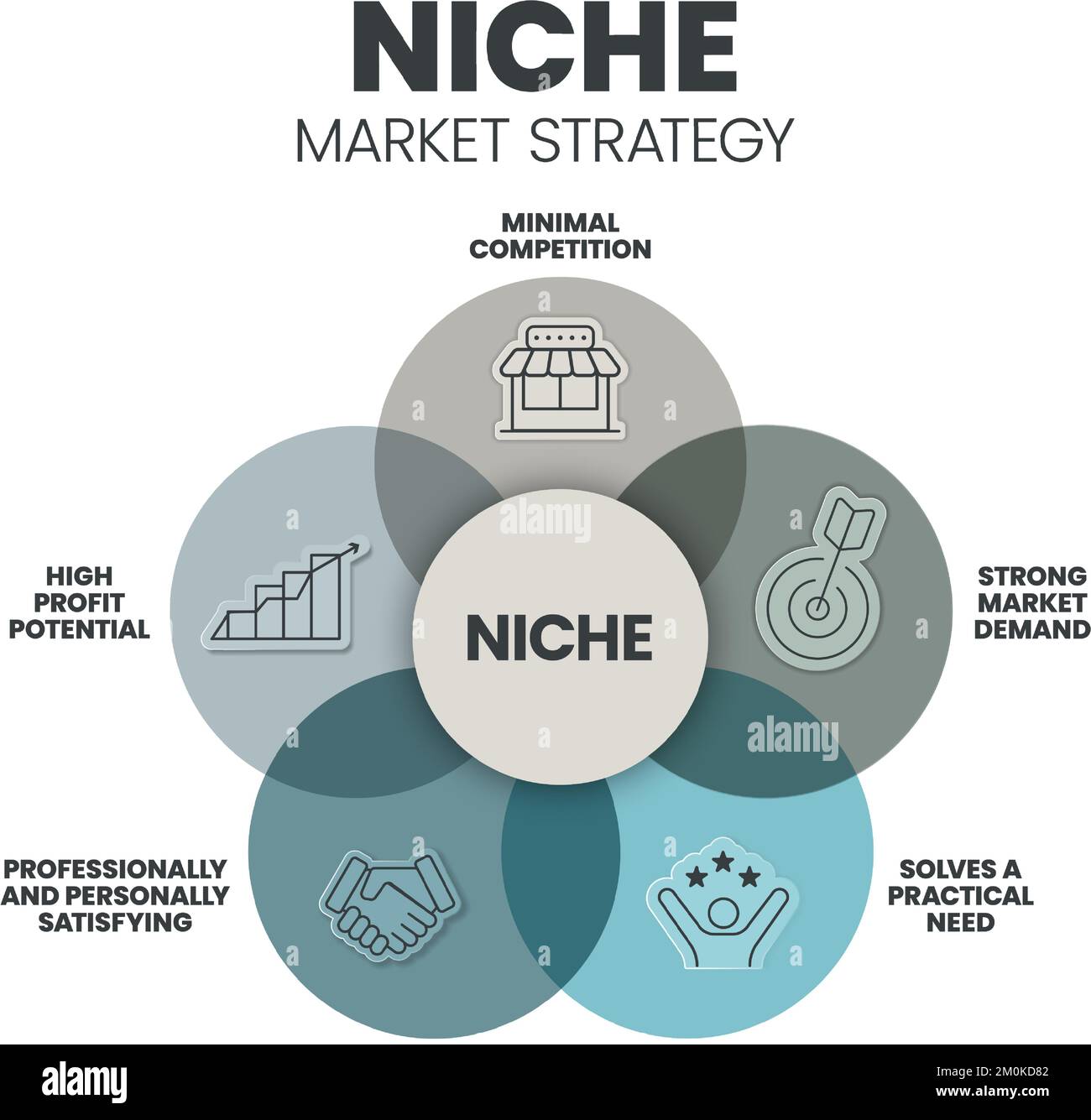 Niche Market Strategy infographic presentation template with icons such as competition, market ...