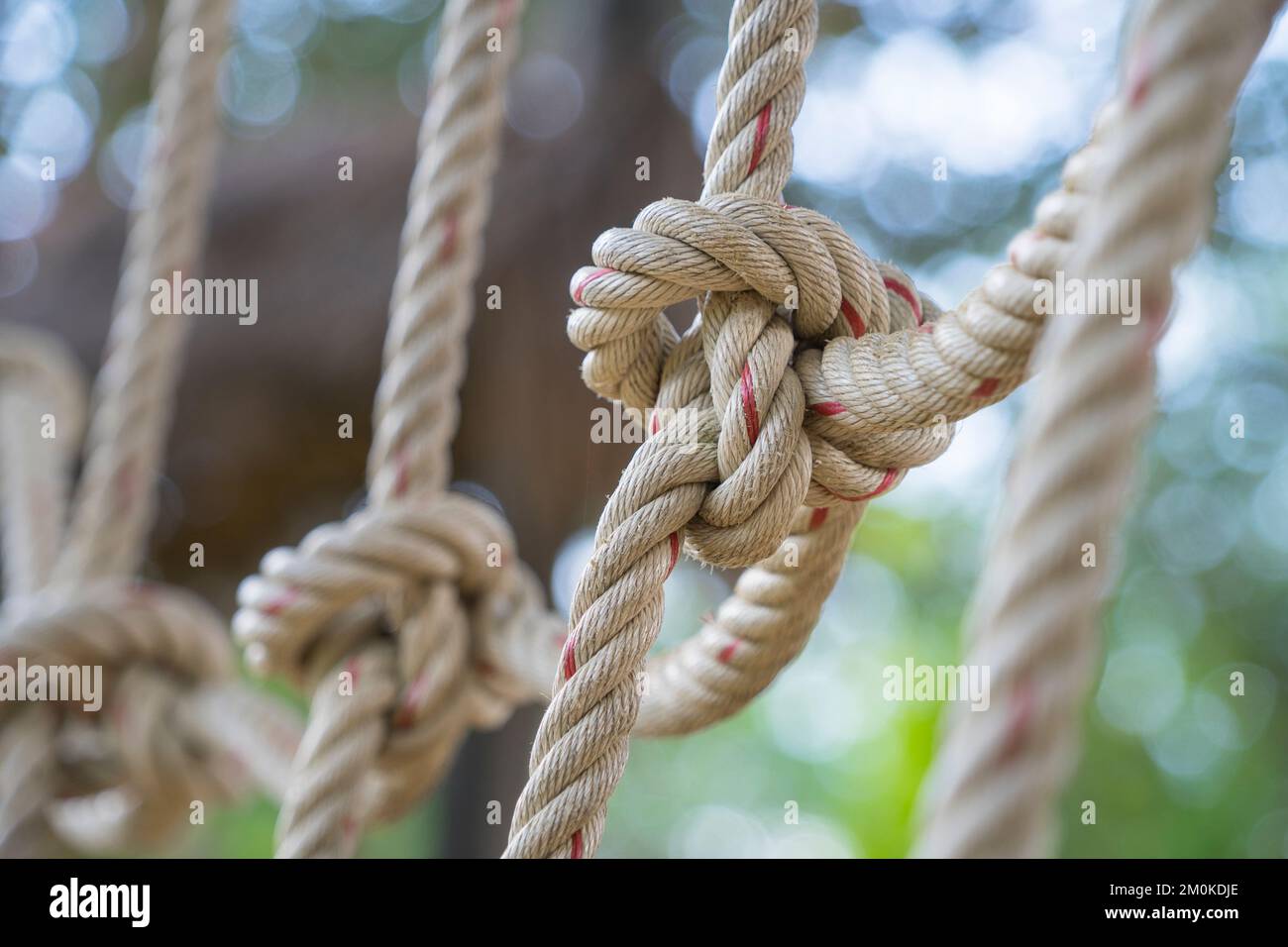 climbing a net Close up climb net rop select focus green nature ...
