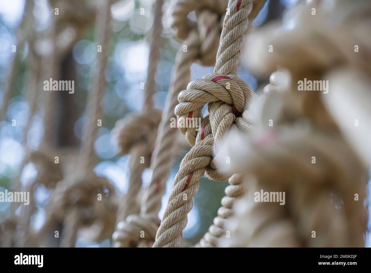 climbing a net Close up climb net rop select focus green nature ...
