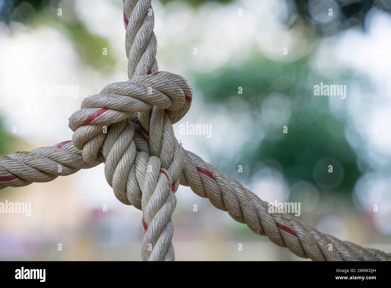 climbing a net Close up climb net rop select focus green nature ...