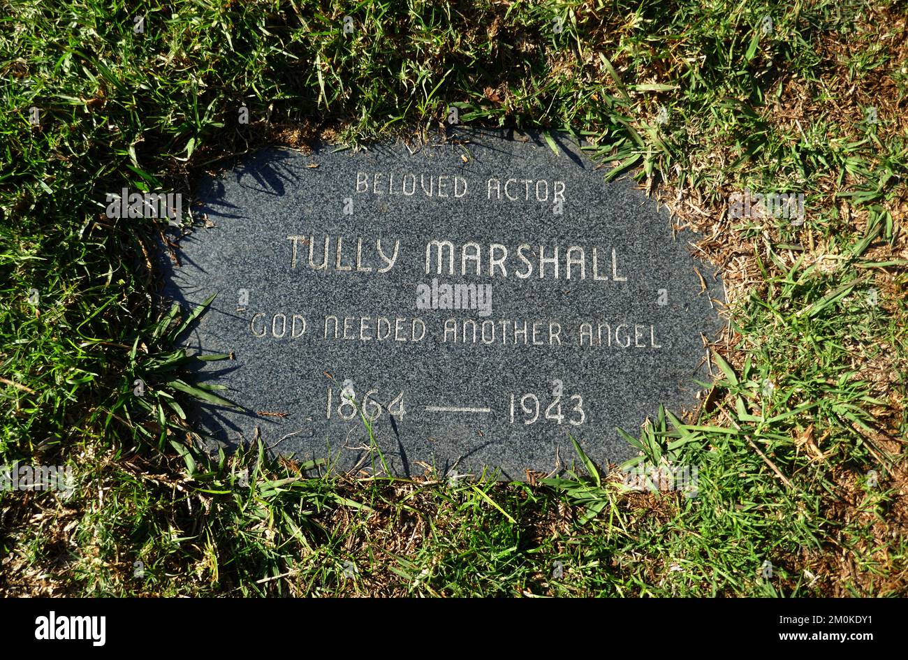 Los Angeles, California, USA 3rd December 2022 Actor Tully Marshall's ...