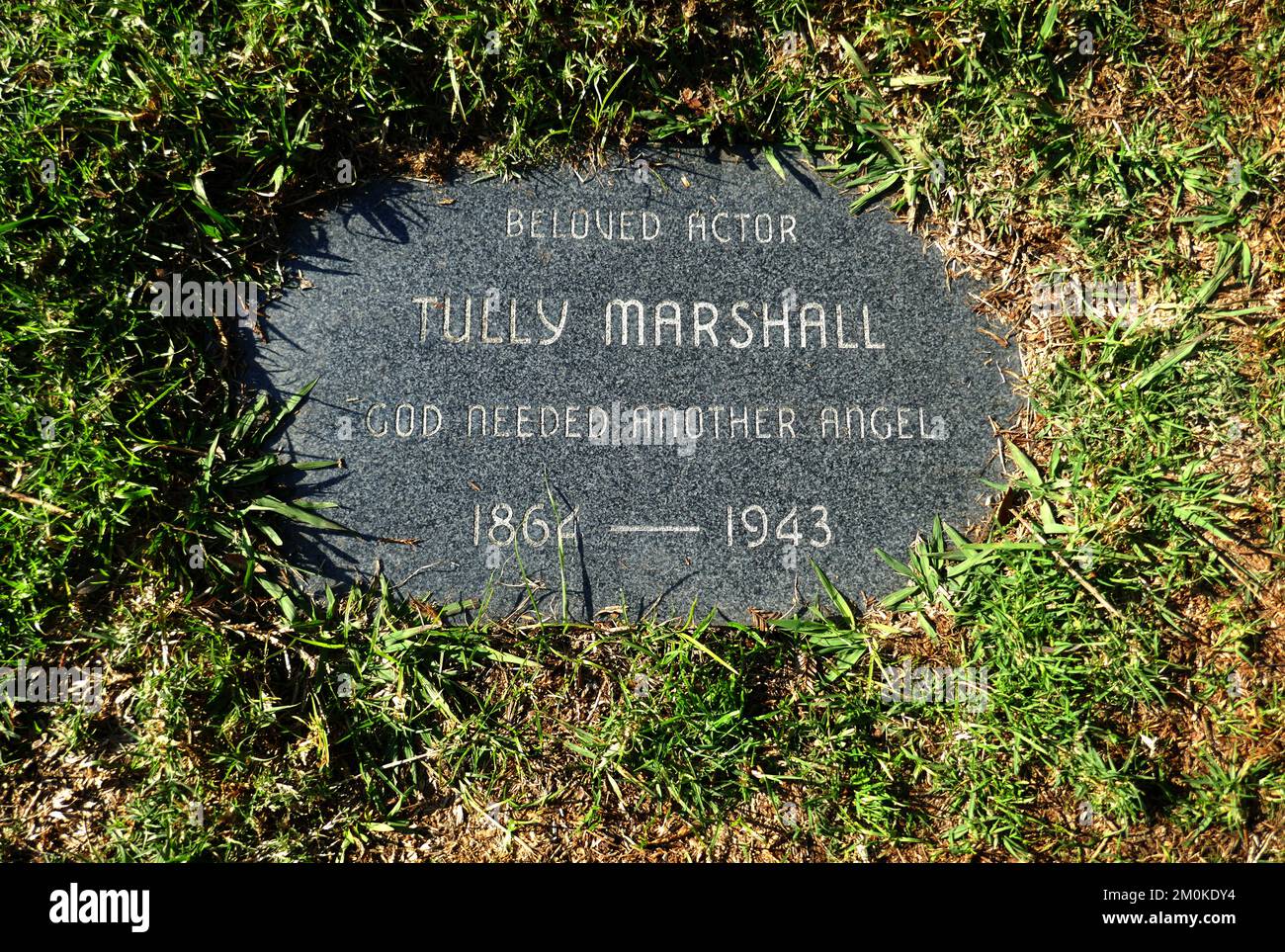 Los Angeles, California, USA 3rd December 2022 Actor Tully Marshall's ...