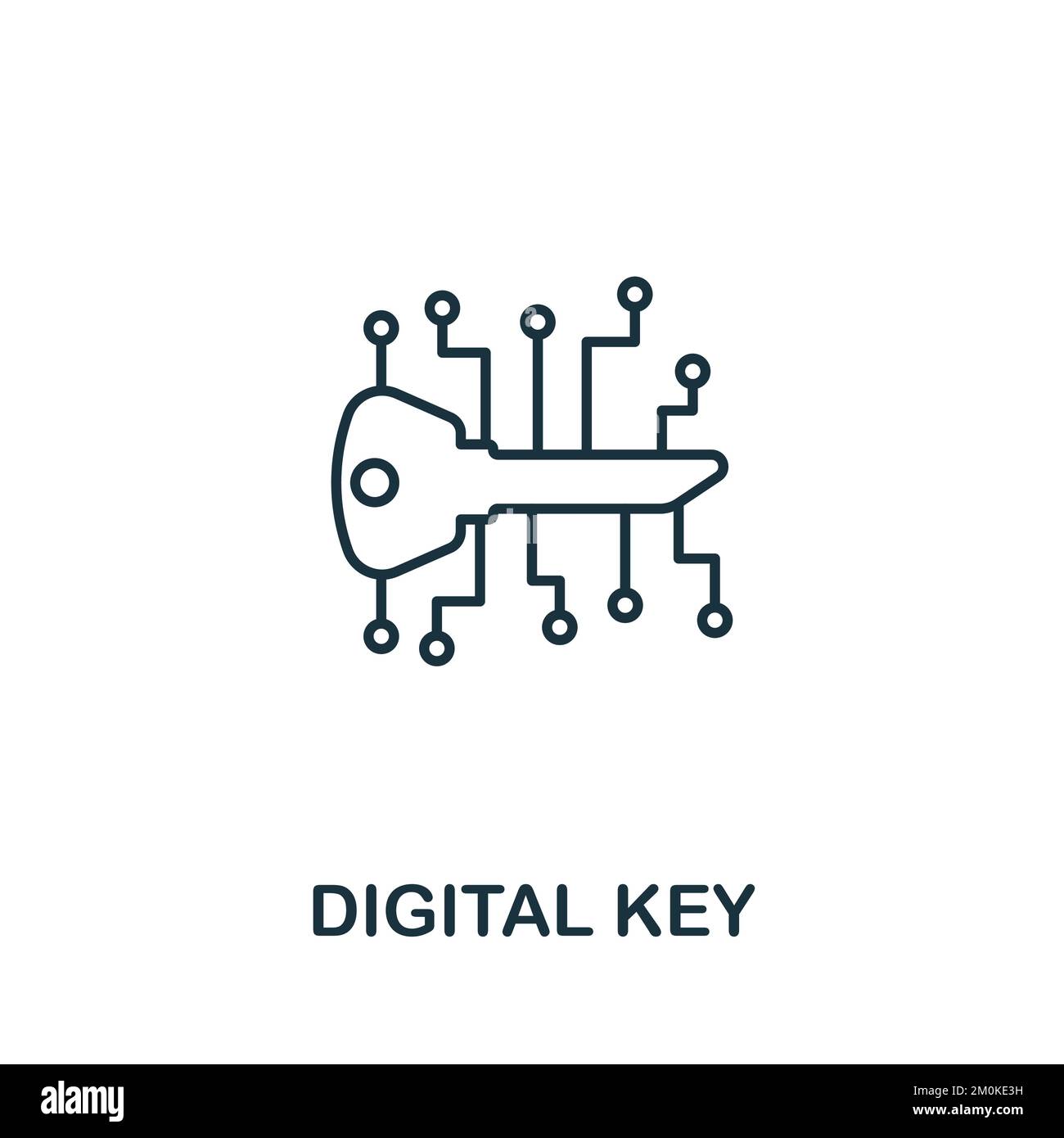 Digital Key Icon Monochrome Simple Cyber Security Icon For Templates