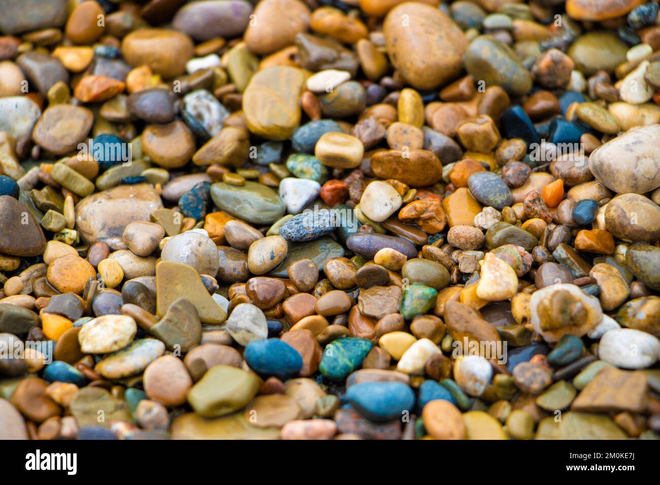 Vibrant Collection of Colorful Pebbles on a Sandy Beach Shore Stock ...