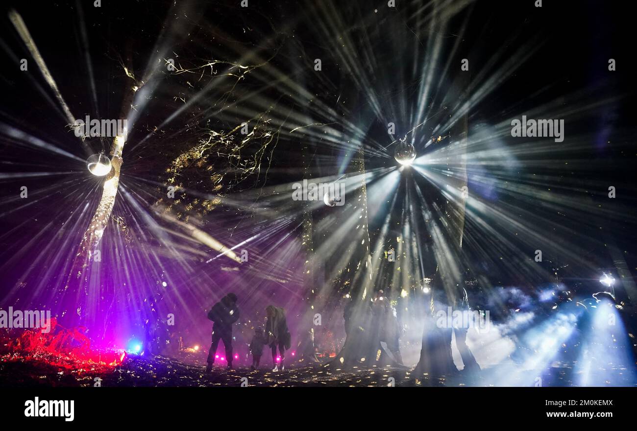 People look at the light installations on display during Windsor Great ...