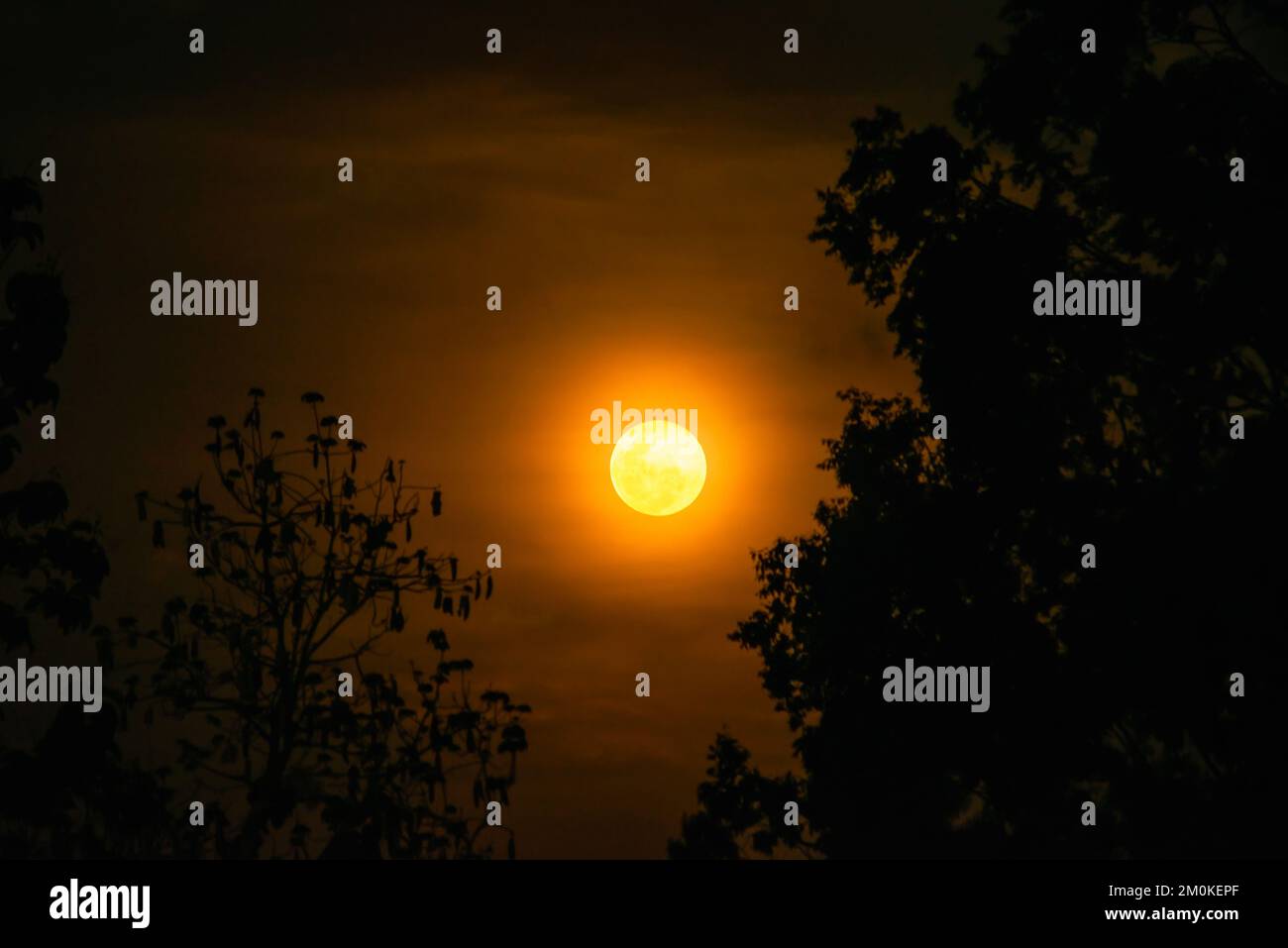 Moon with Night sky and cloud in full moon light Stock Photo - Alamy